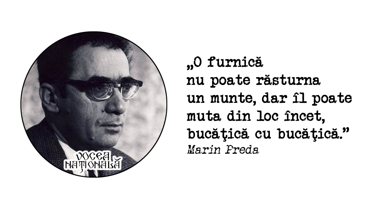 O furnică poate, citat de Marin Preda